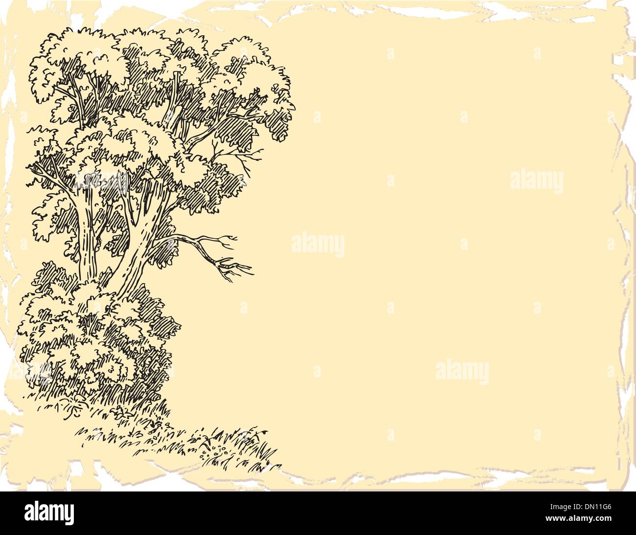 Tree with a dry twig Stock Vector Image & Art - Alamy