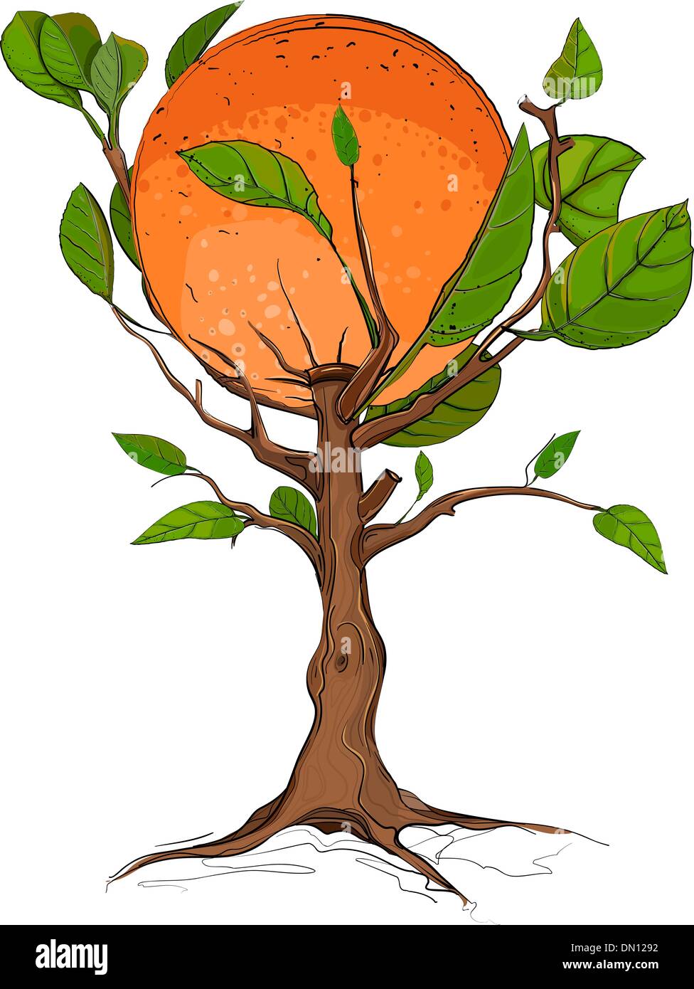 Orange tree Stock Vector Images - Alamy