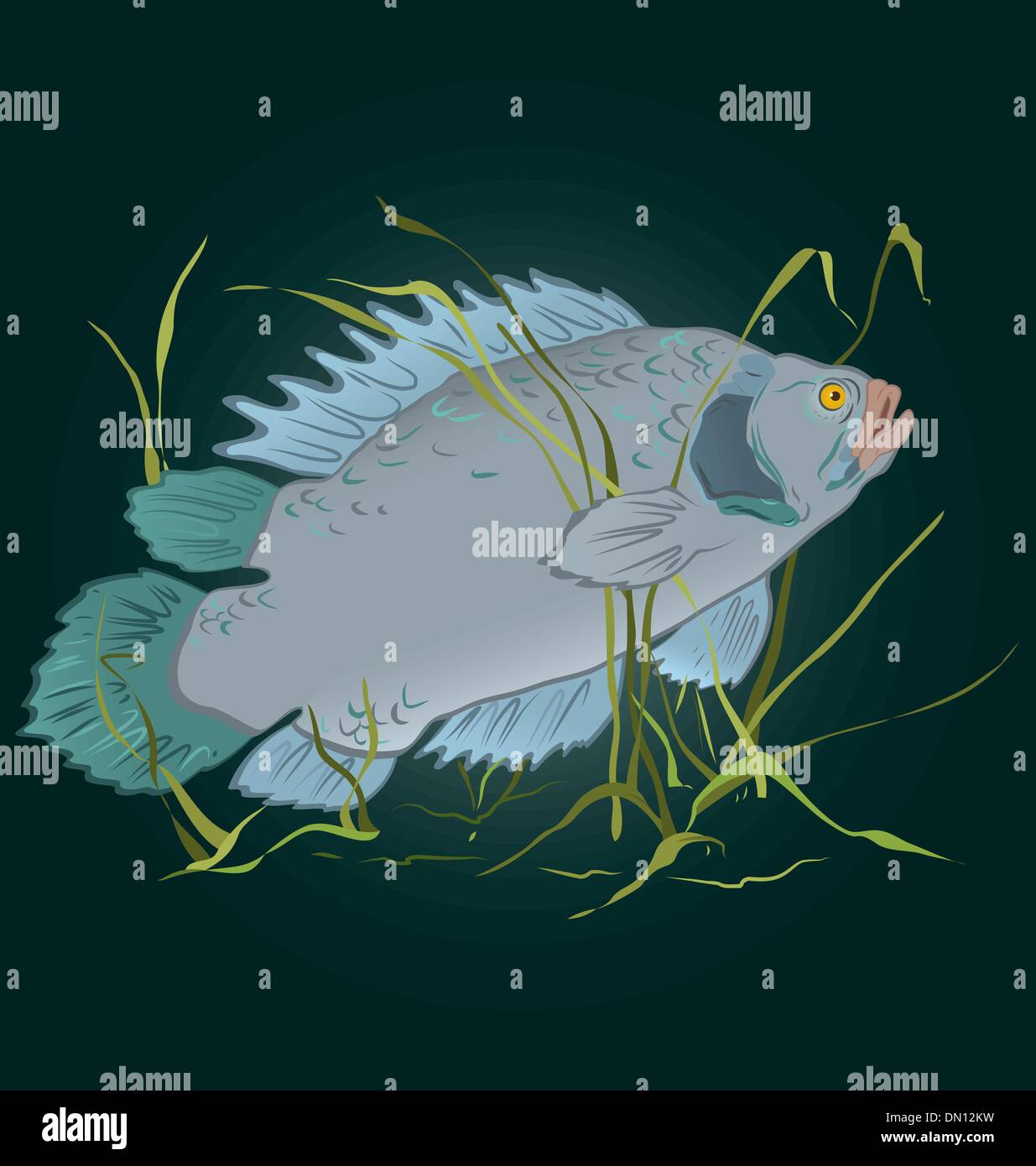 Vector hand drawn seaweed Stock Vector Images - Alamy