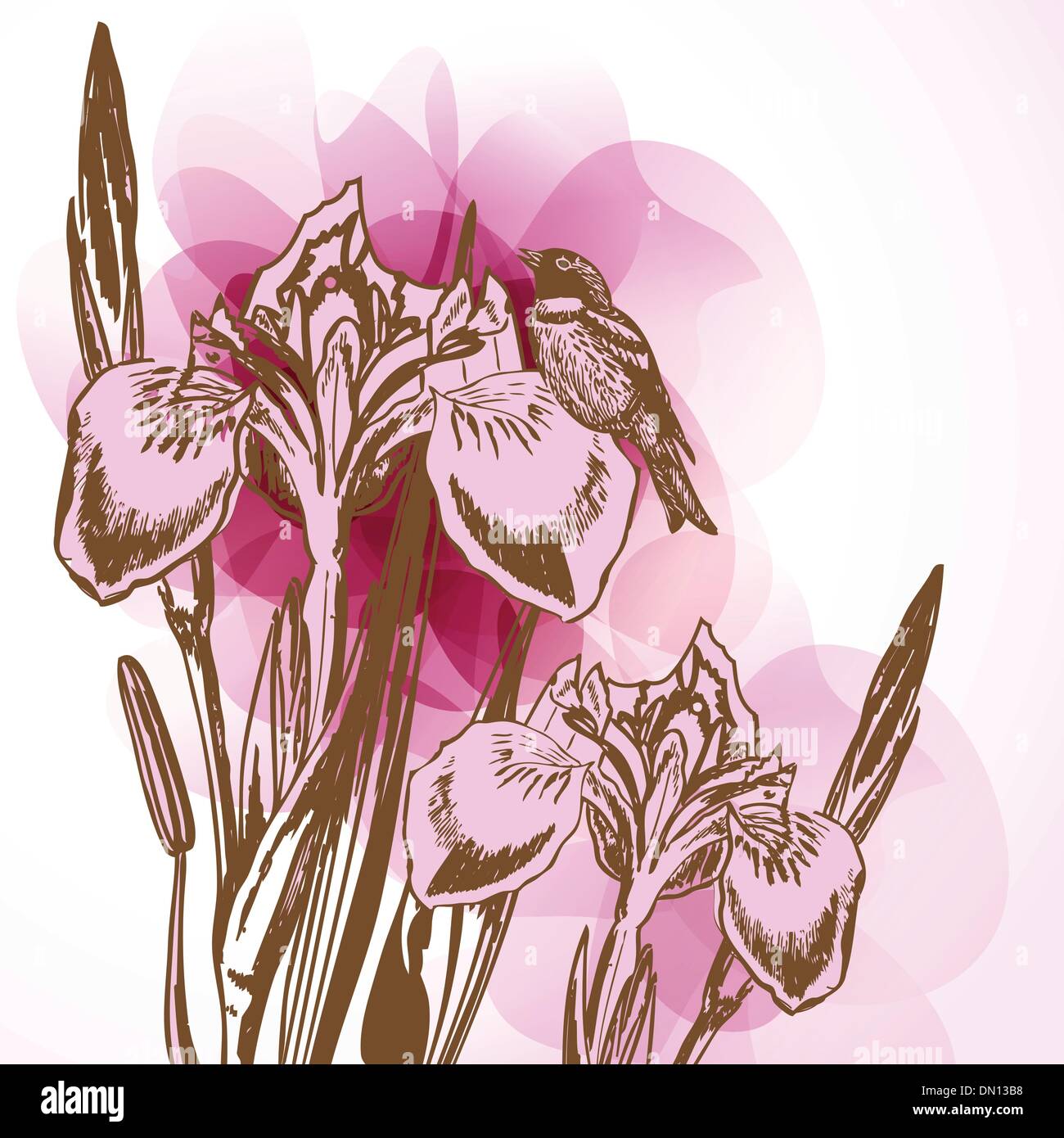 Violet iris flowers on Stock Vector Images - Alamy