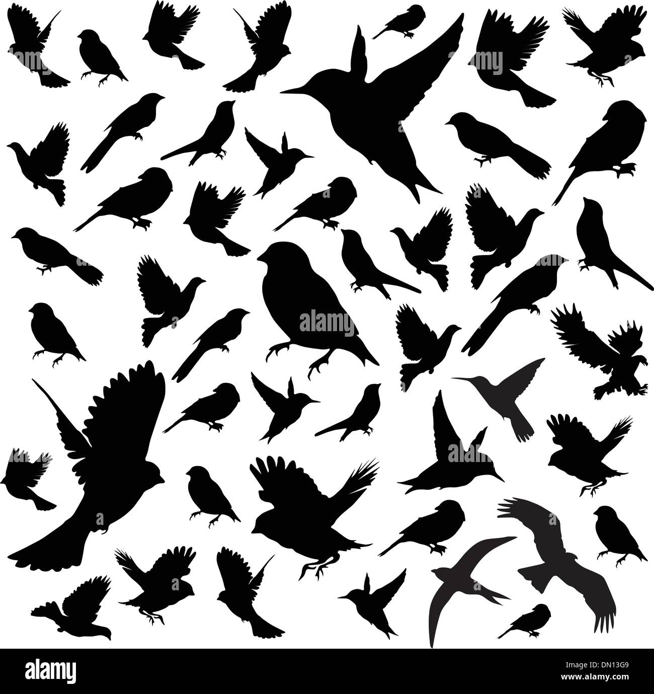 Series birds Stock Vector Images - Alamy