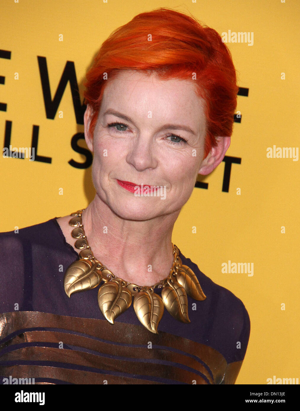 New York, USA. 17th Dec, 2013. Costume designer SANDY POWELL attends ...