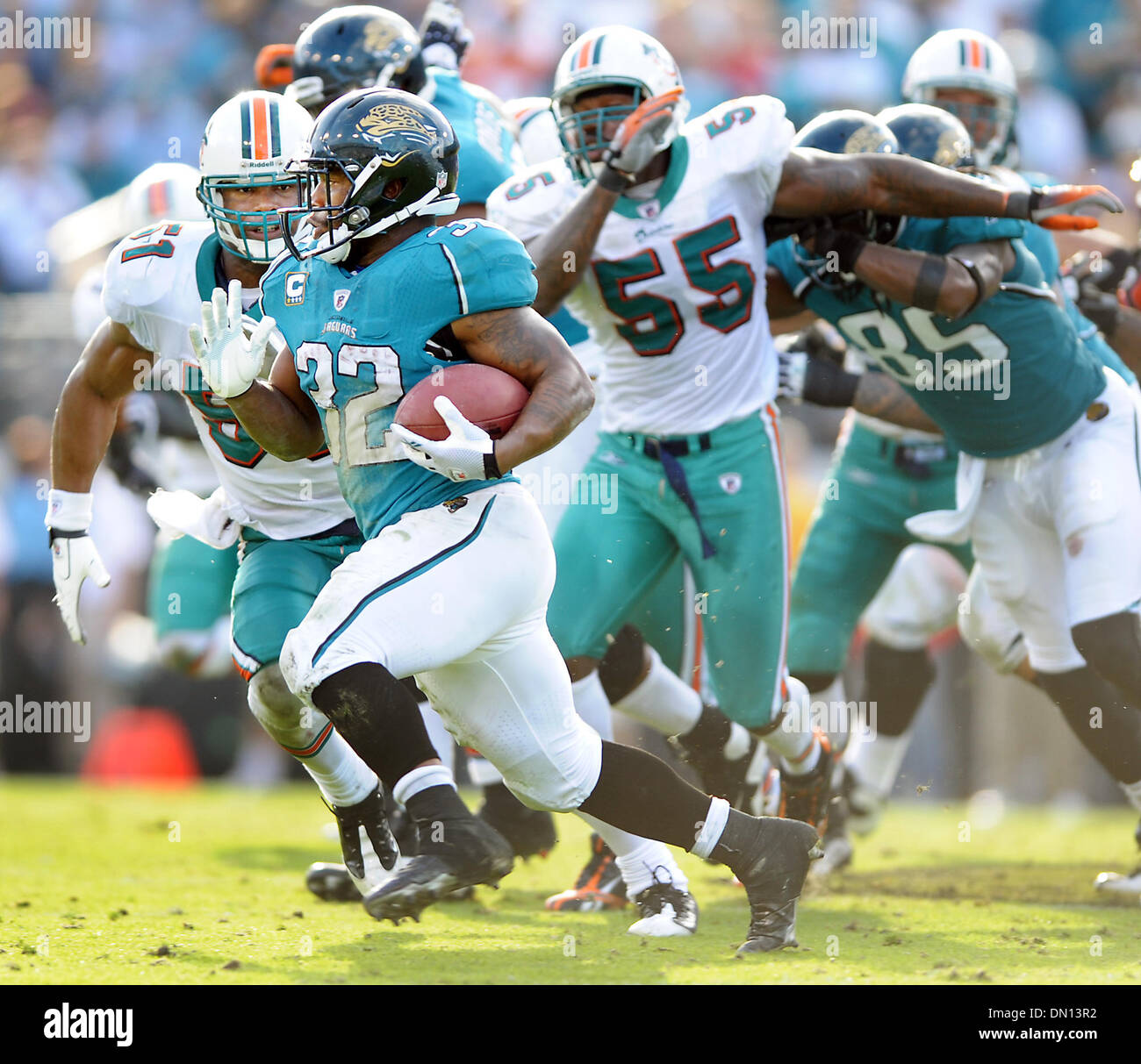 Robert jones dolphins hi-res stock photography and images - Alamy