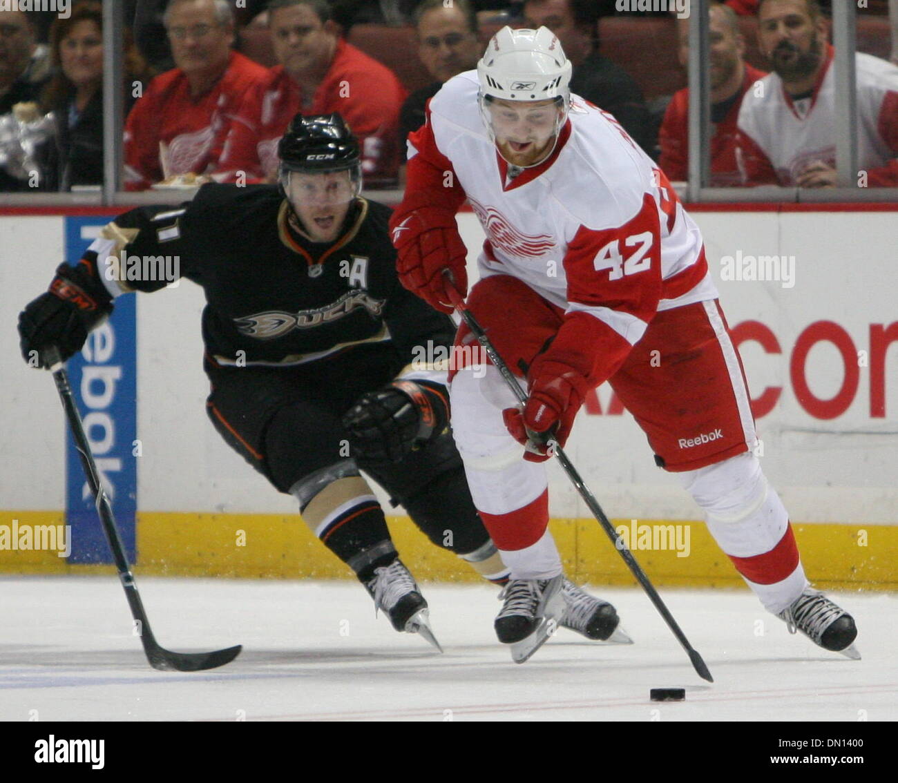 Jan 05, 2010 - Anaheim, California, USA - Detroit Red Wings center ...