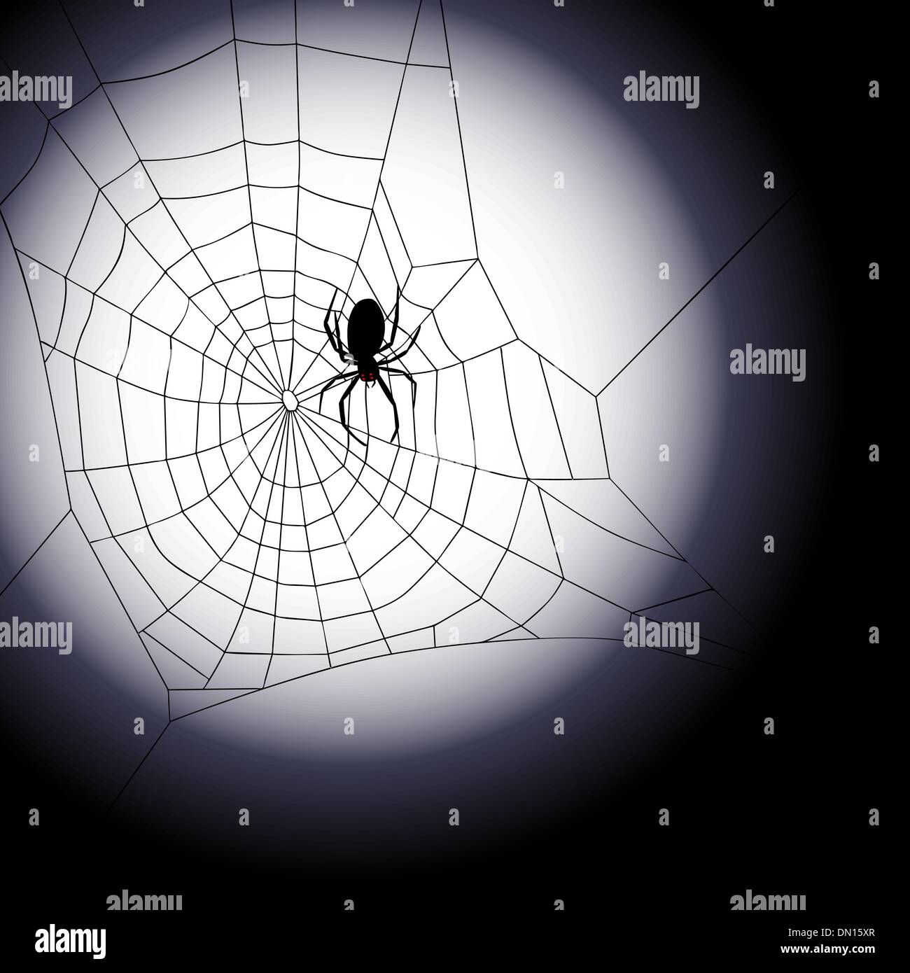 Vector illustration of spiders web Stock Vector Image & Art - Alamy