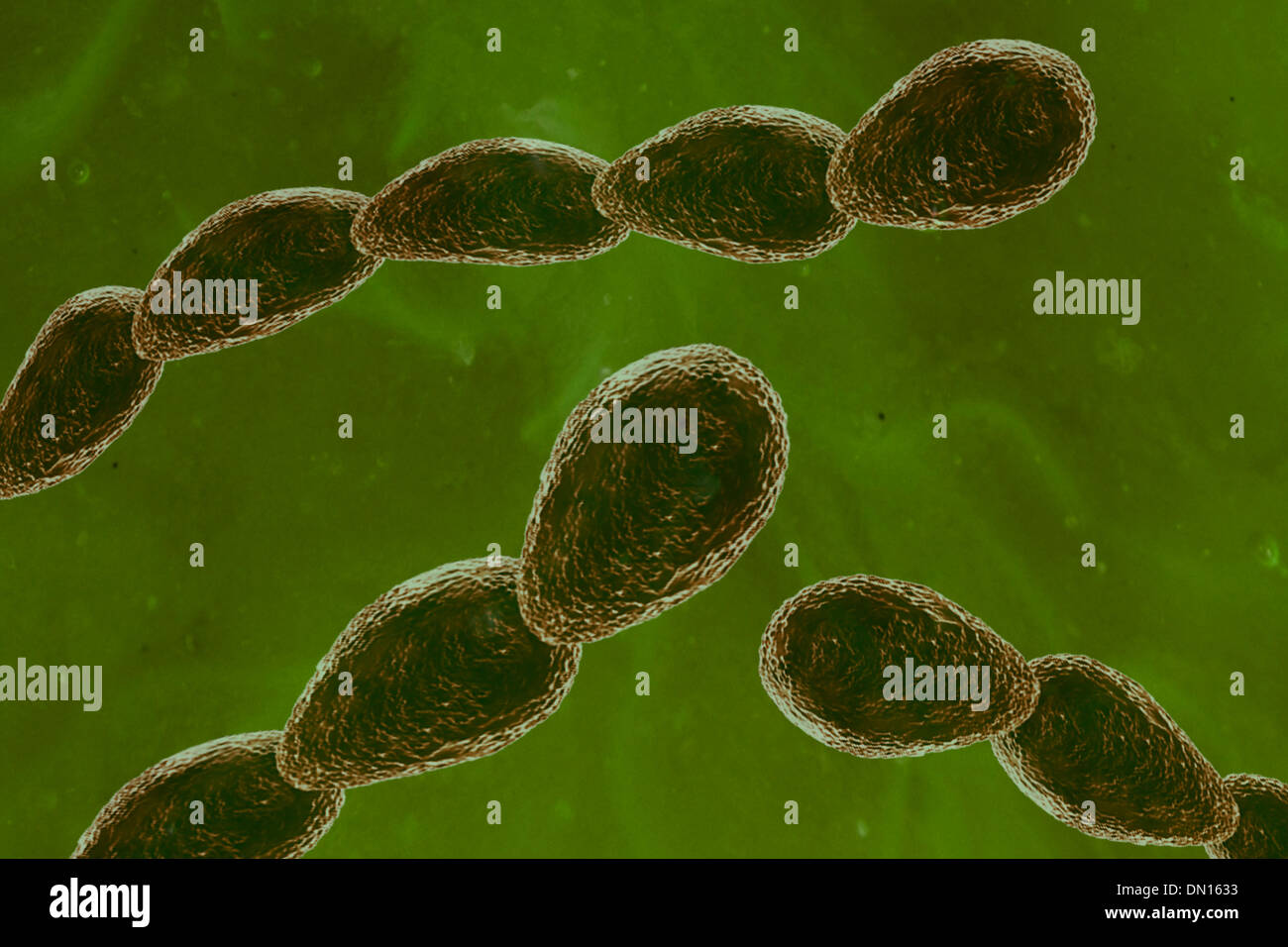 bacteria with green background pathogen Stock Photo - Alamy