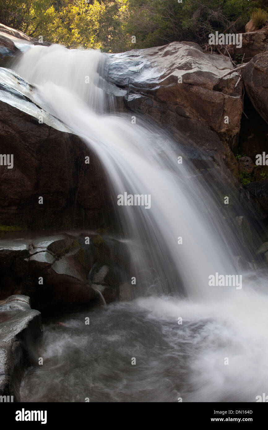 Medo hi-res stock photography and images - Alamy
