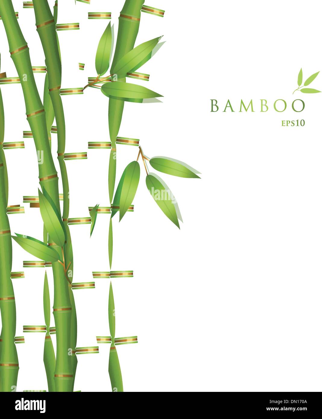 Green bamboo Stock Vector Images - Alamy