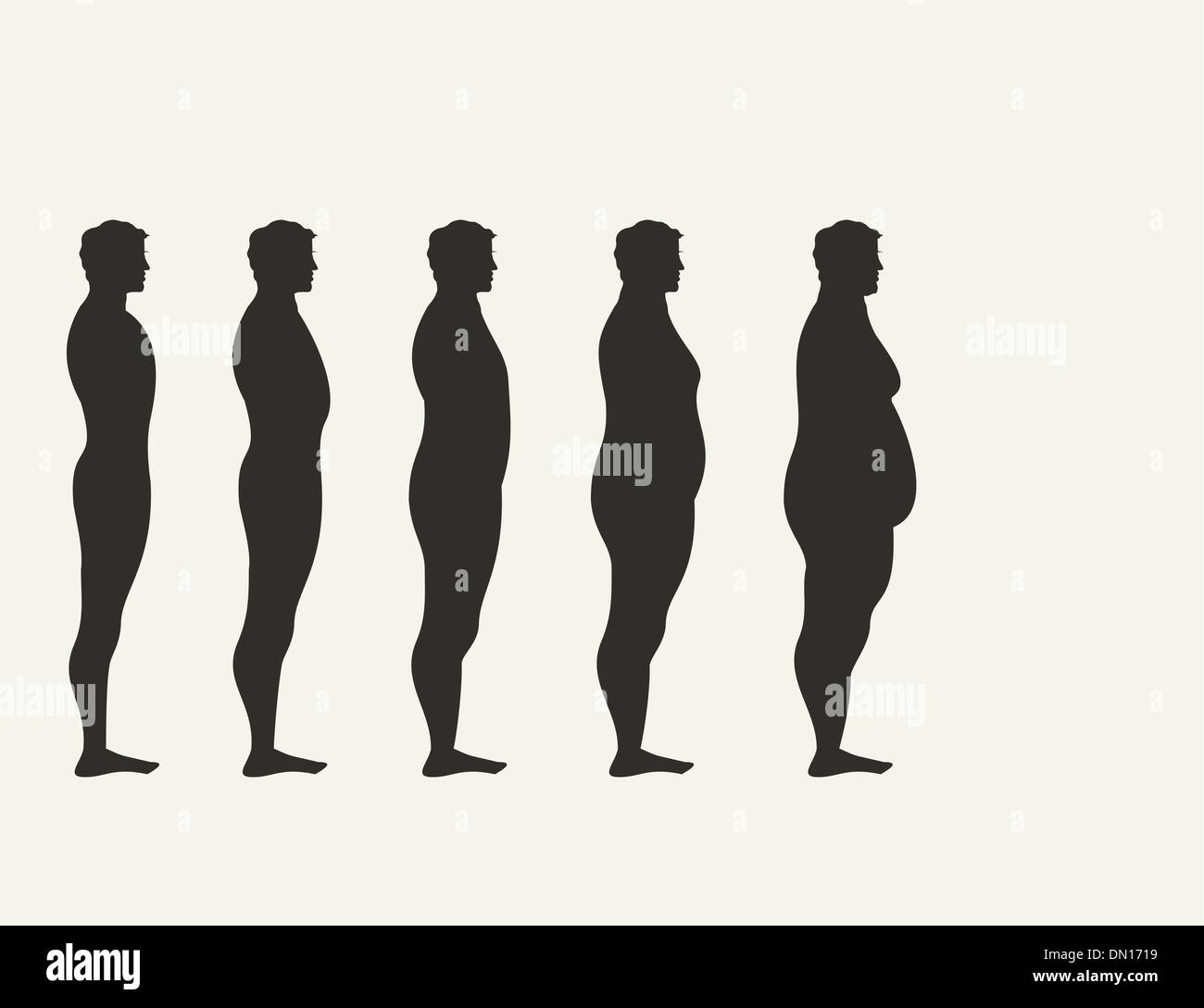 Fat anatomy hi-res stock photography and images - Alamy