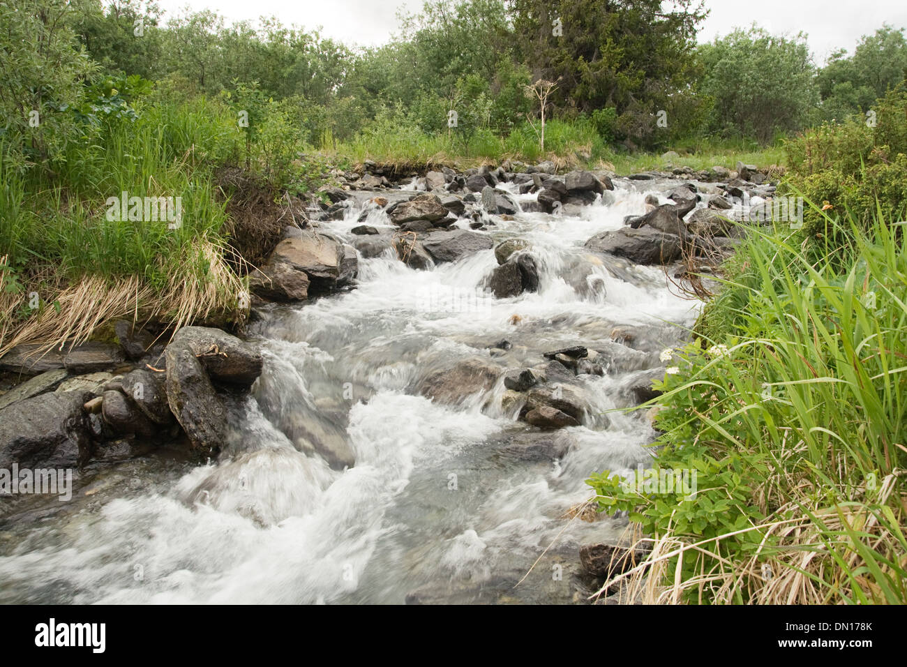 River water stream running among hi-res stock photography and images ...