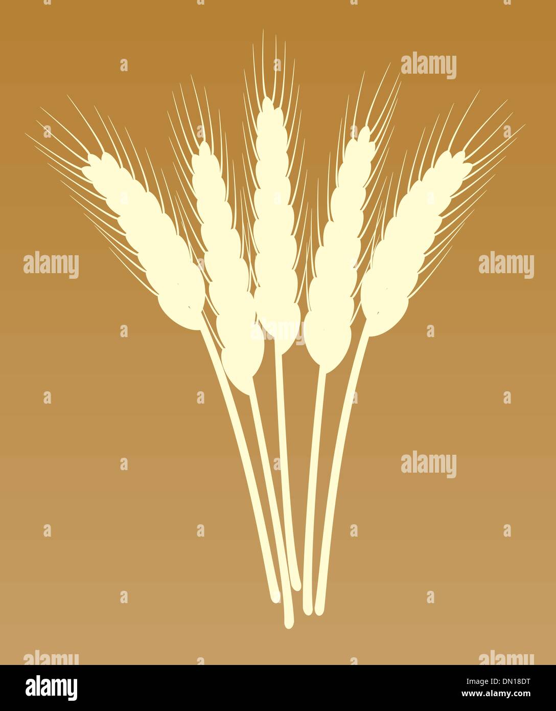 Wheat Stalk Vector Png