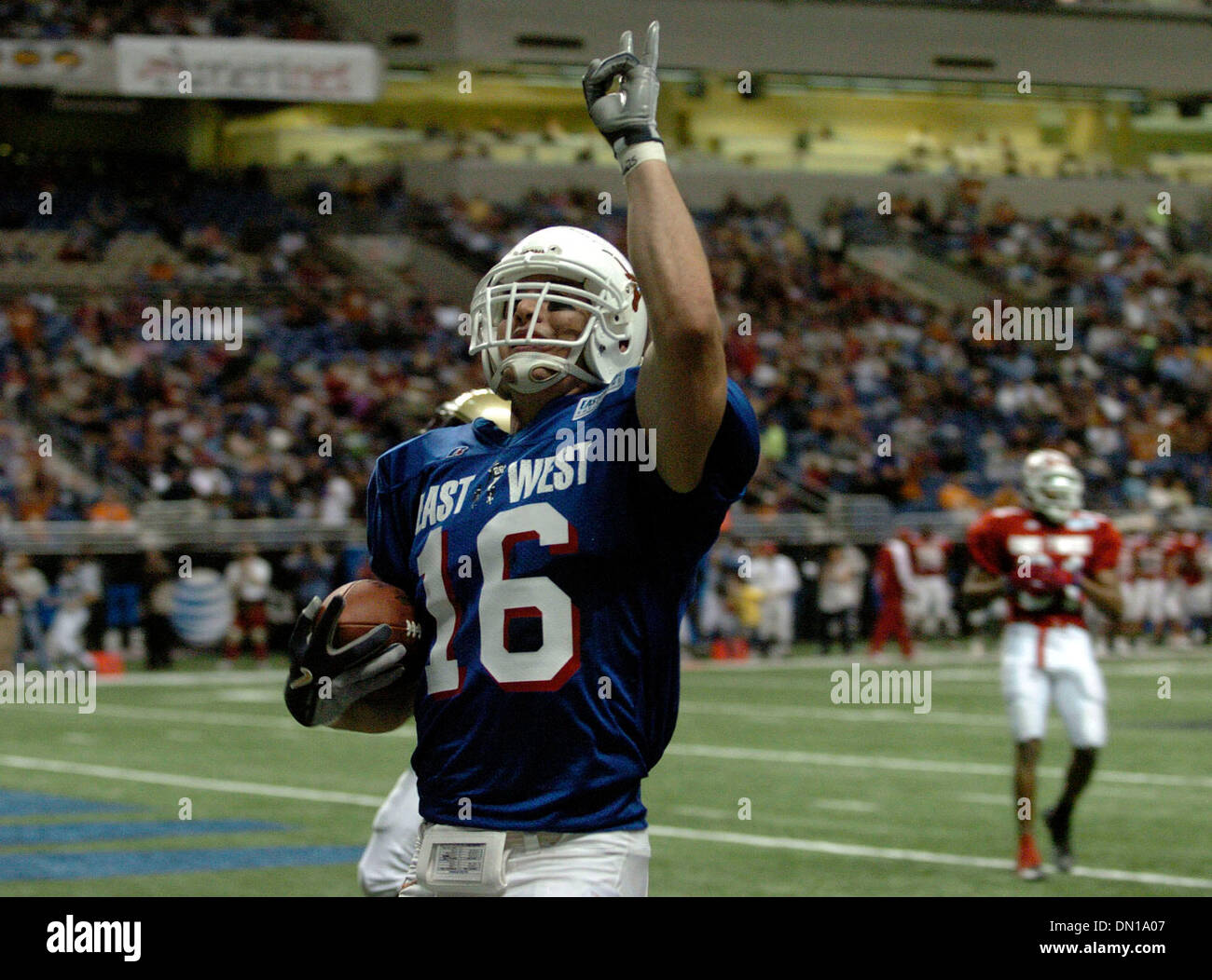 David thomas longhorns hi-res stock photography and images - Alamy