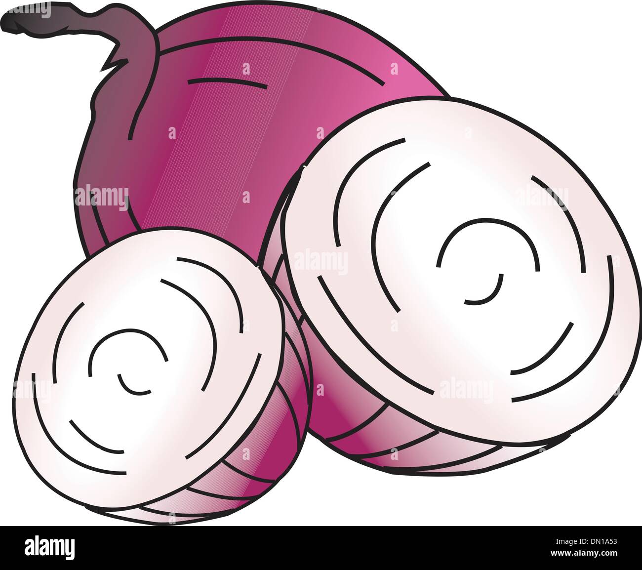 vegetable onion cut into two Stock Vector Image & Art - Alamy