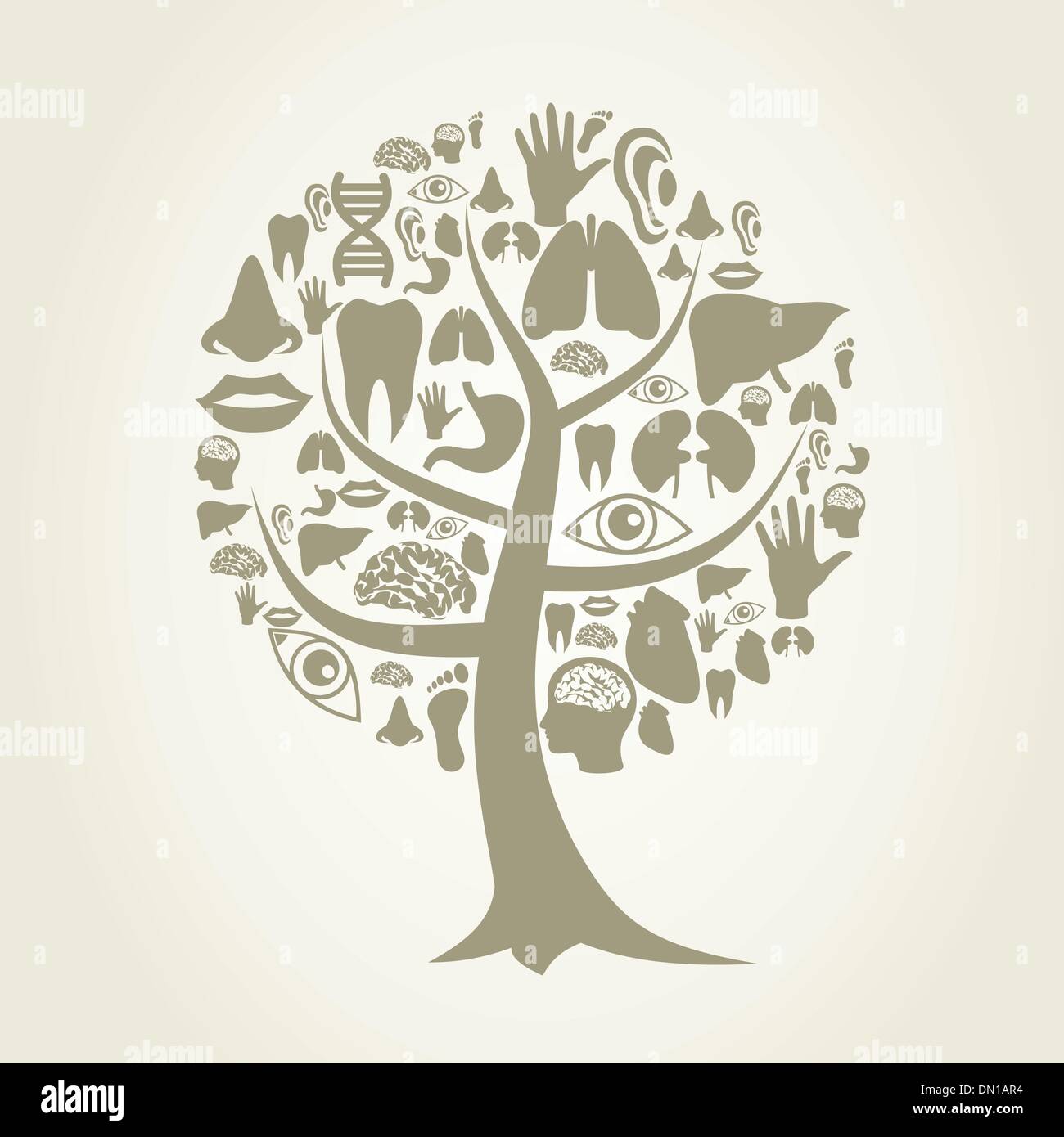 Tree anatomy illustration hi-res stock photography and images - Alamy