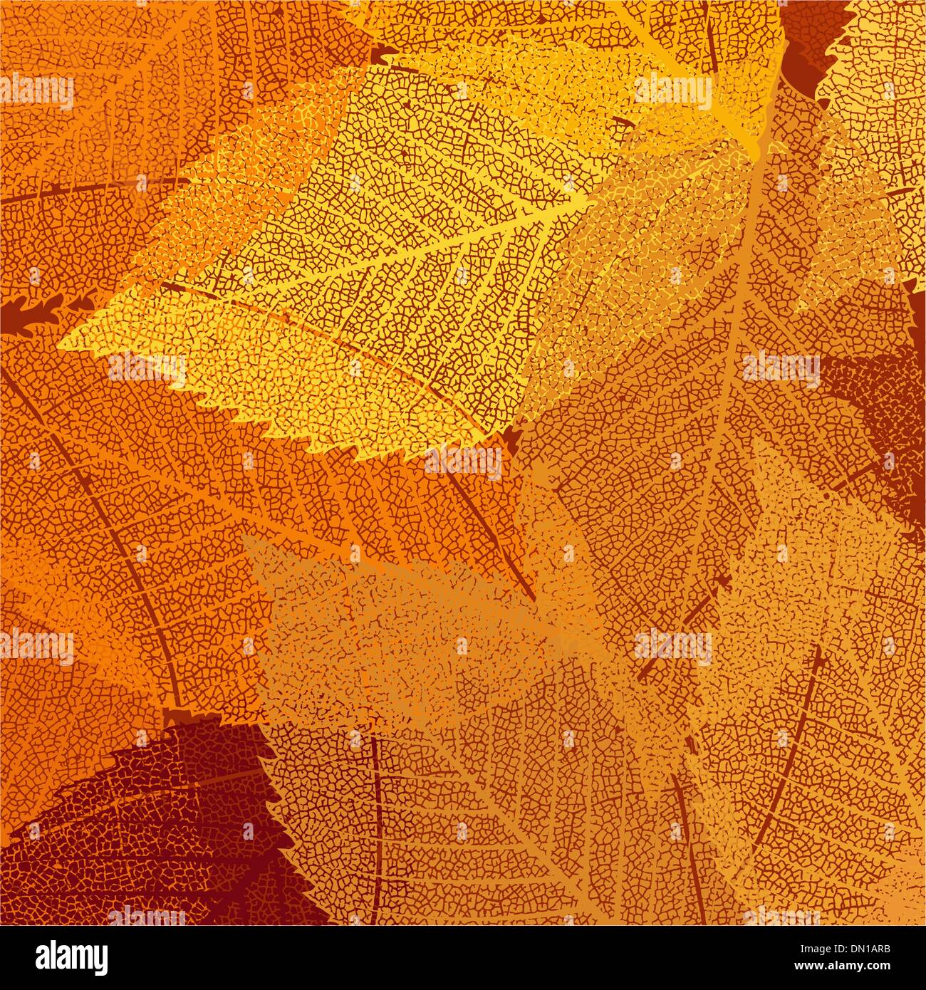 Dry autumn leaves template. EPS 8 Stock Vector Image & Art - Alamy