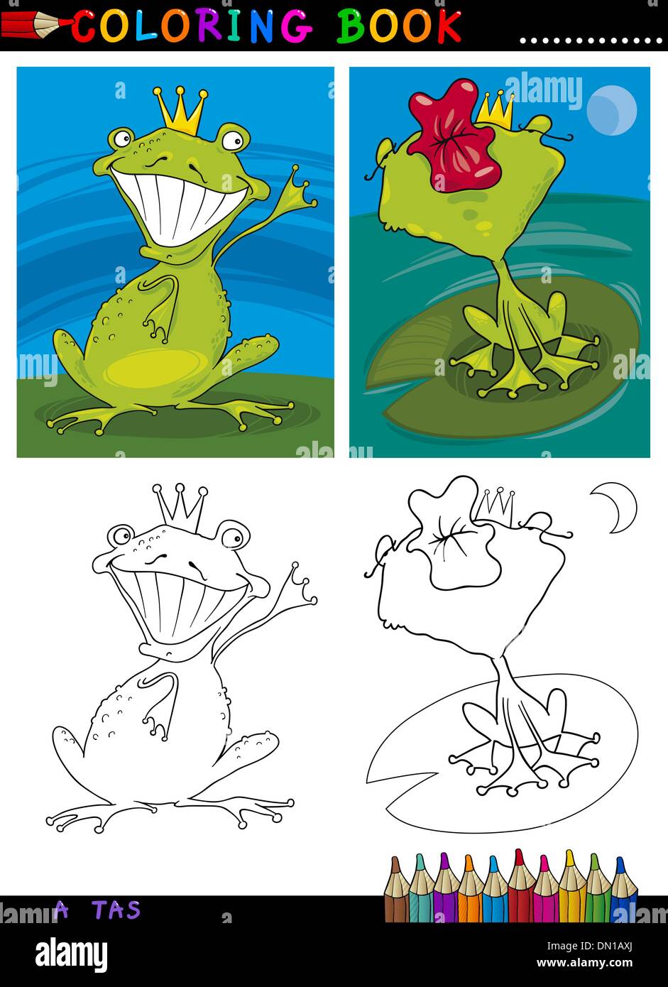 Fantasy frog prince for coloring Stock Vector Image & Art - Alamy