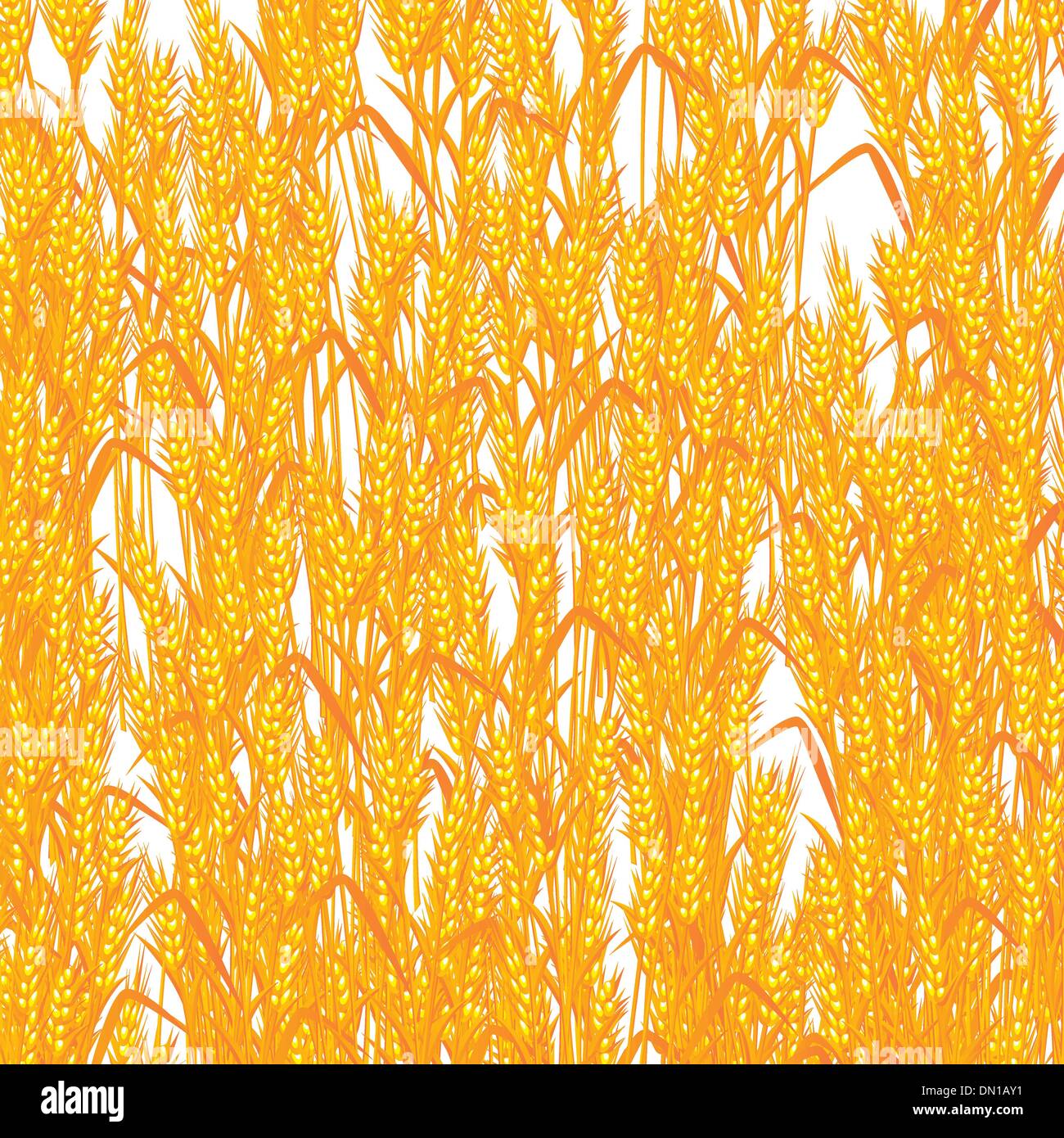 Abstract wheat pattern wallpaper Stock Vector Images - Alamy