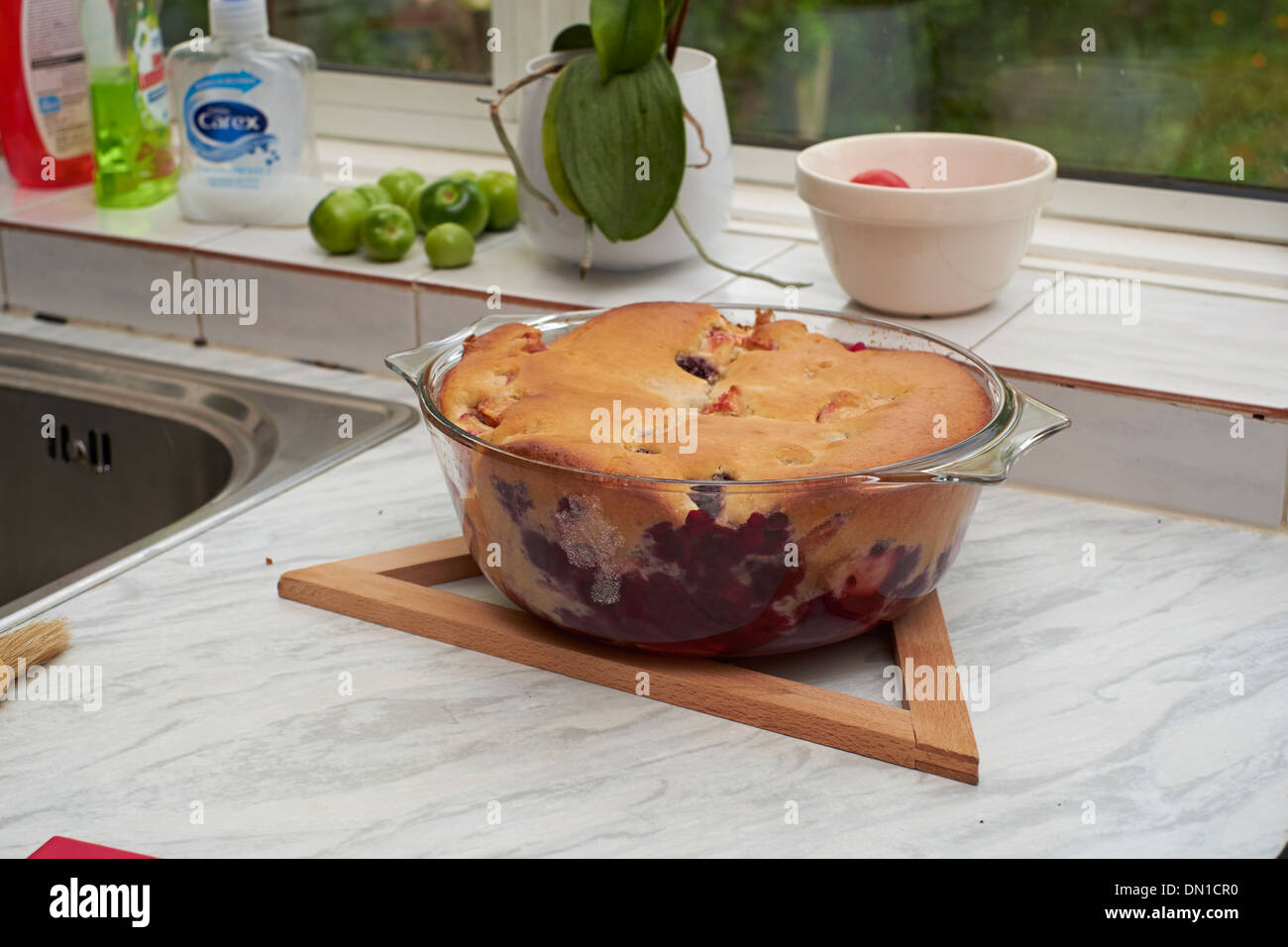 Stand homemade sponge cake hi-res stock photography and images - Alamy