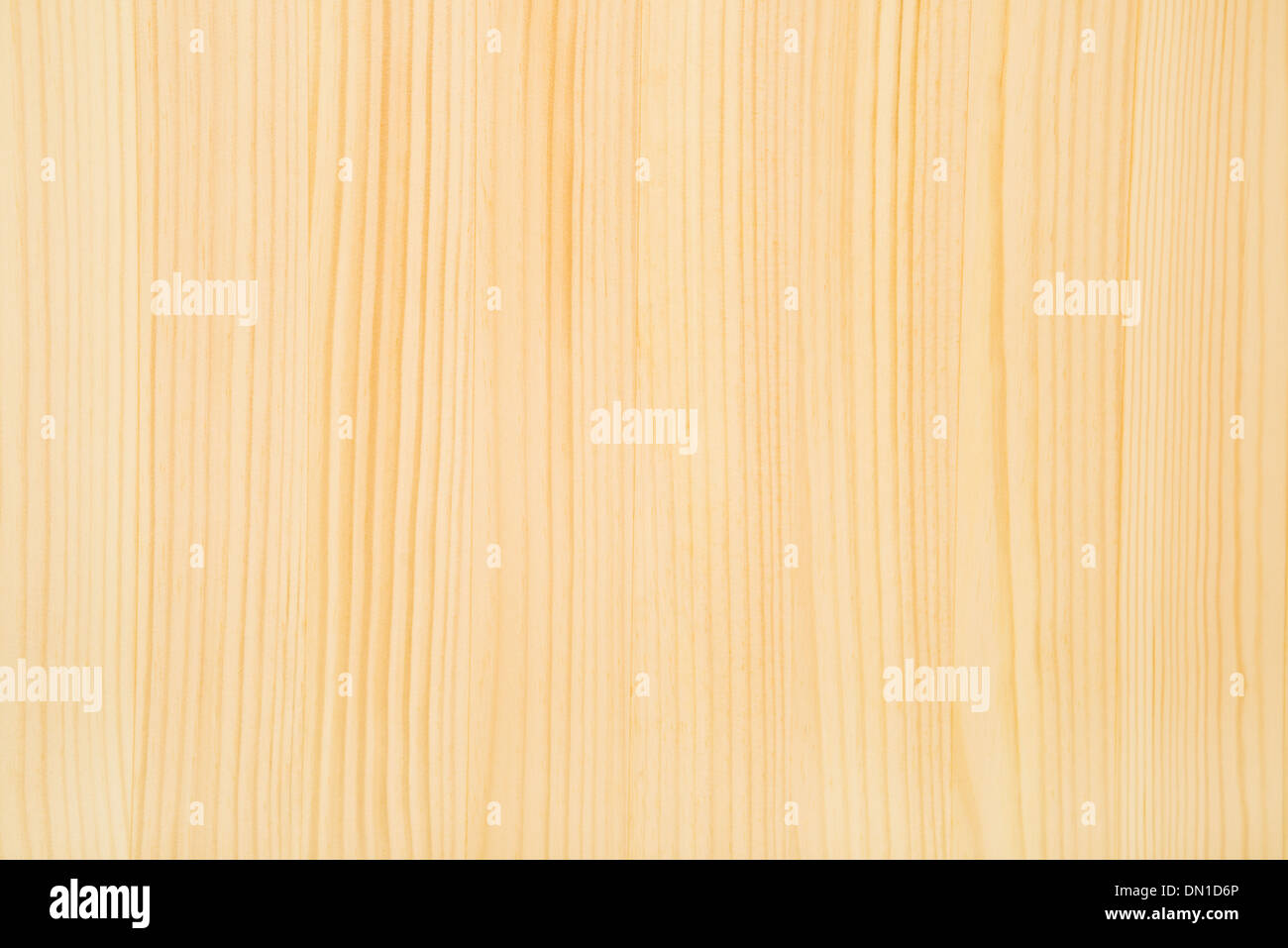 Beech wood texture. Detailed beech texture as natural wood background ...