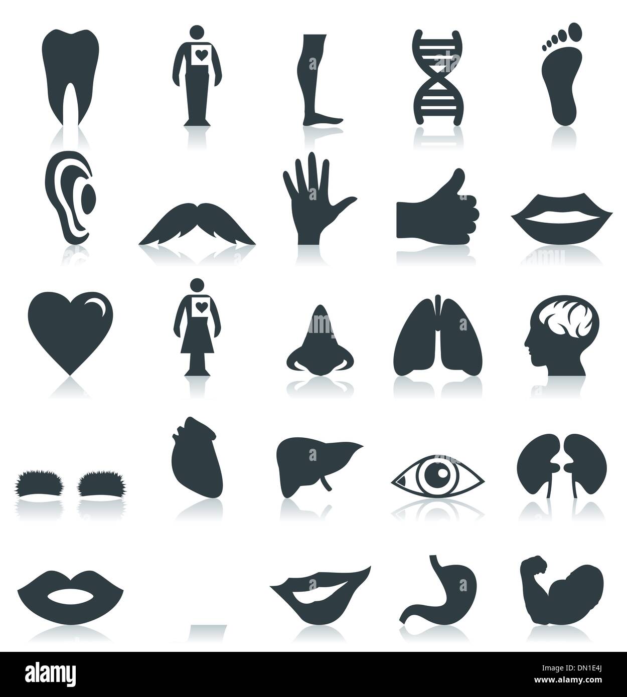 Icon a body Stock Vector Image & Art - Alamy