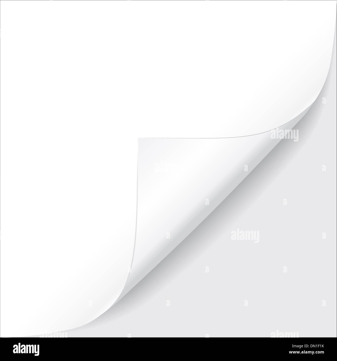 Sheet of white paper corner. Vector illustration Stock Photo - Alamy