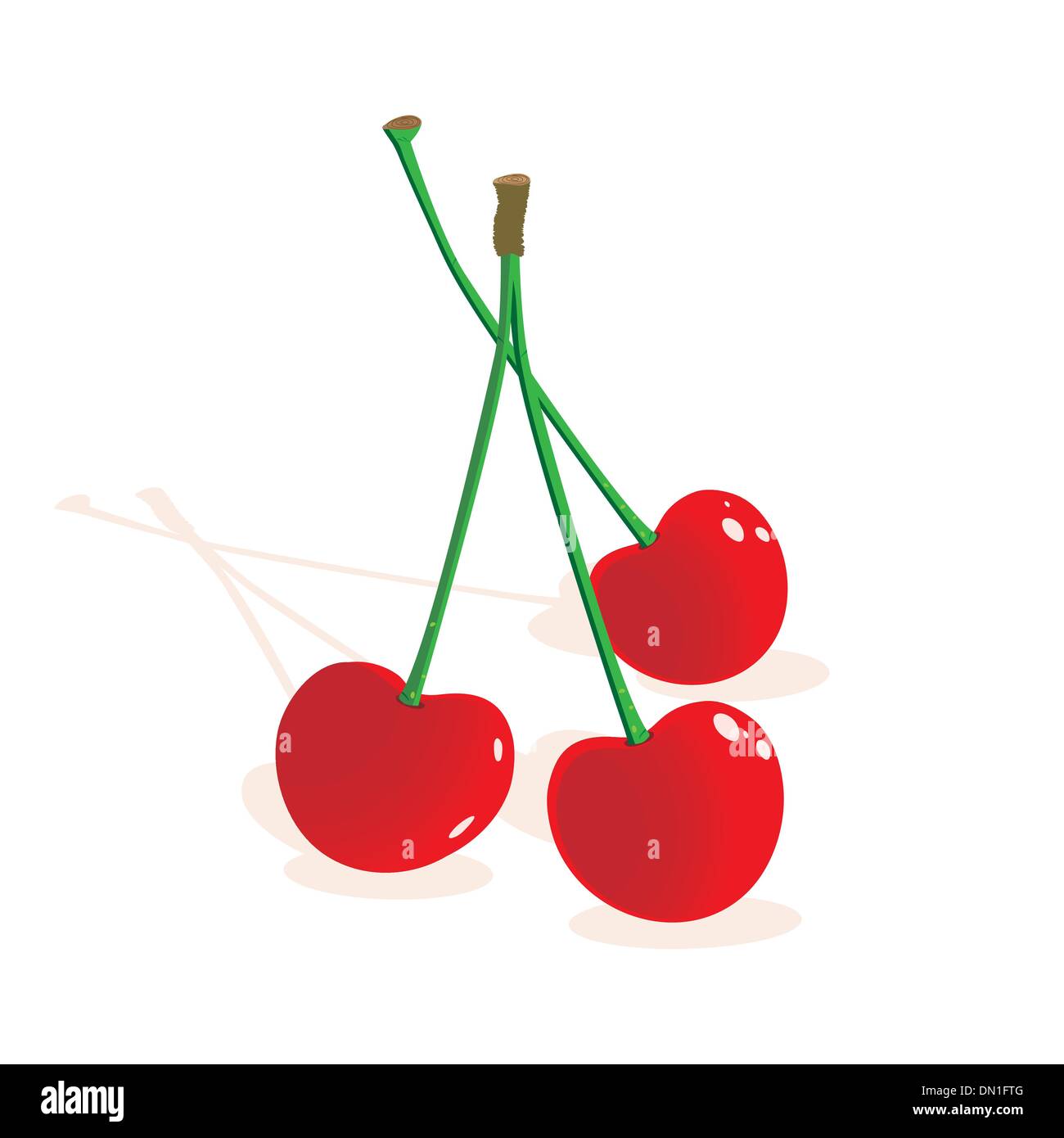 Three red ripe cherries Stock Vector Image & Art - Alamy