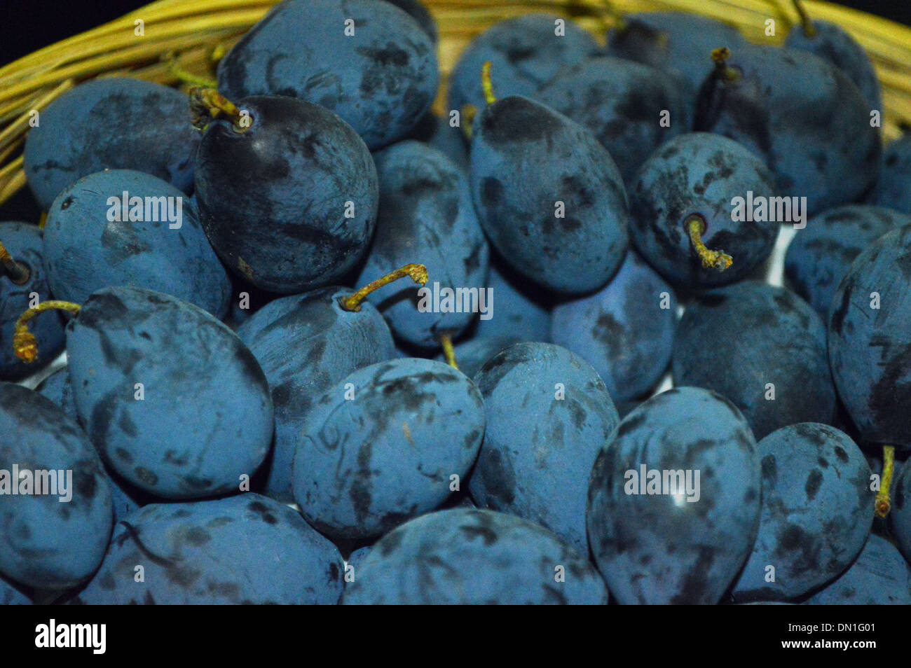 A Wicker Bowl of Loose Blue Damsons on Display at the Harrogate Autumn ...