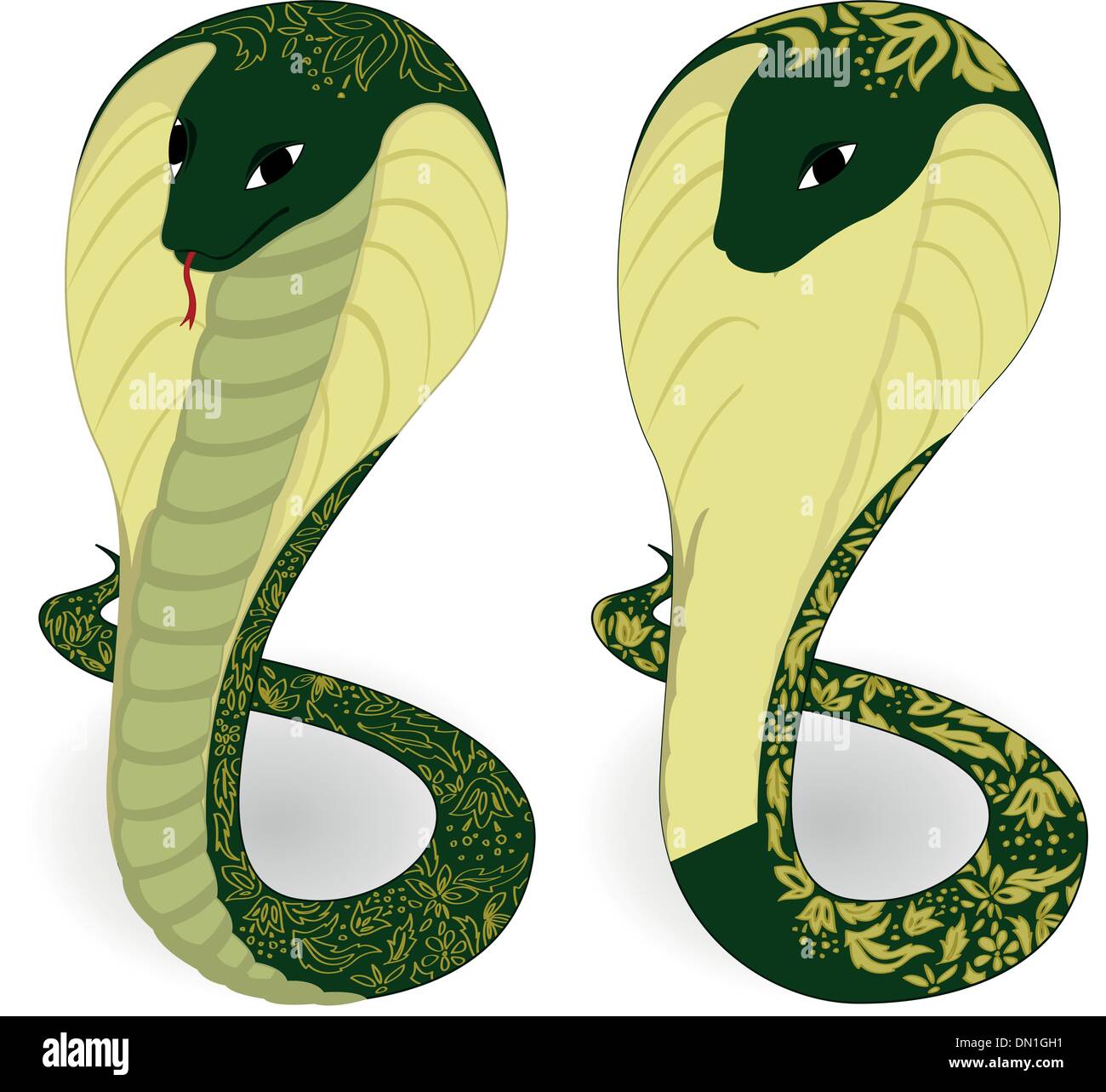 green snakes with floral pattern Stock Vector Image & Art - Alamy