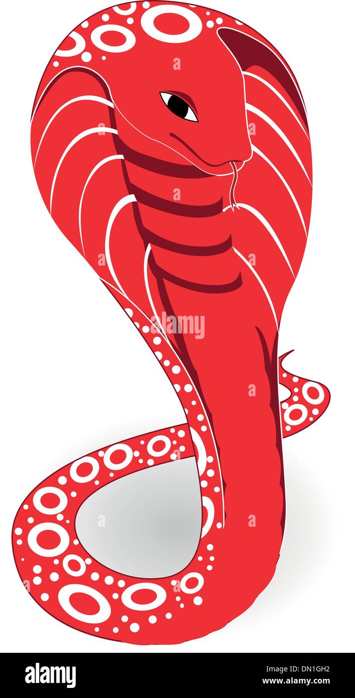 Red cobra snake hi-res stock photography and images - Alamy