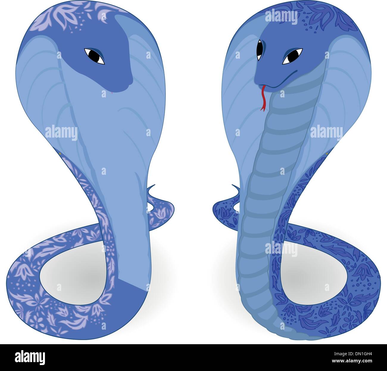 two blue cobras with floral pattern Stock Vector Image & Art - Alamy