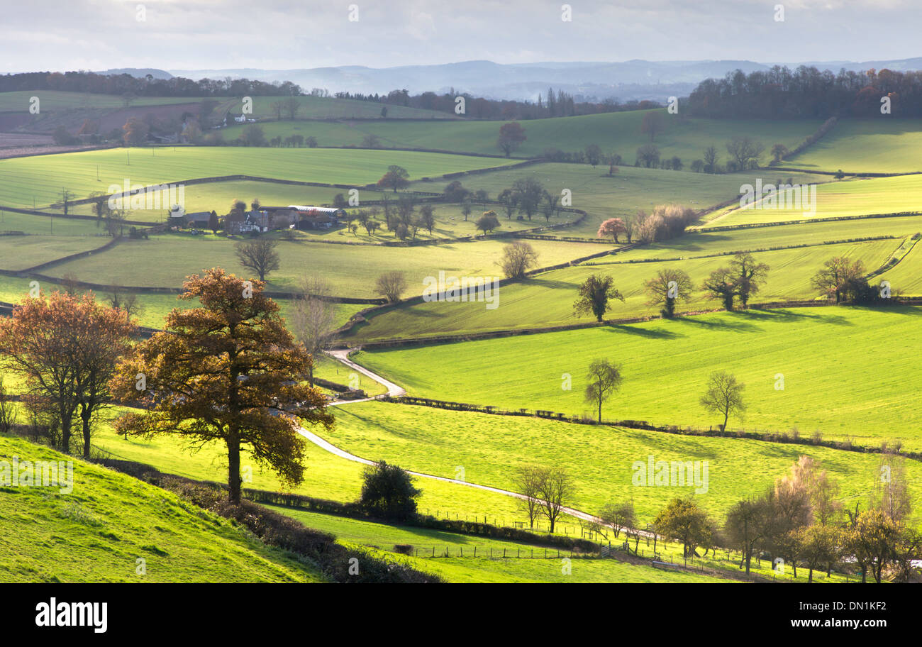 Afternoon light over Herefordshire countryside from the Marcle Ridge ...