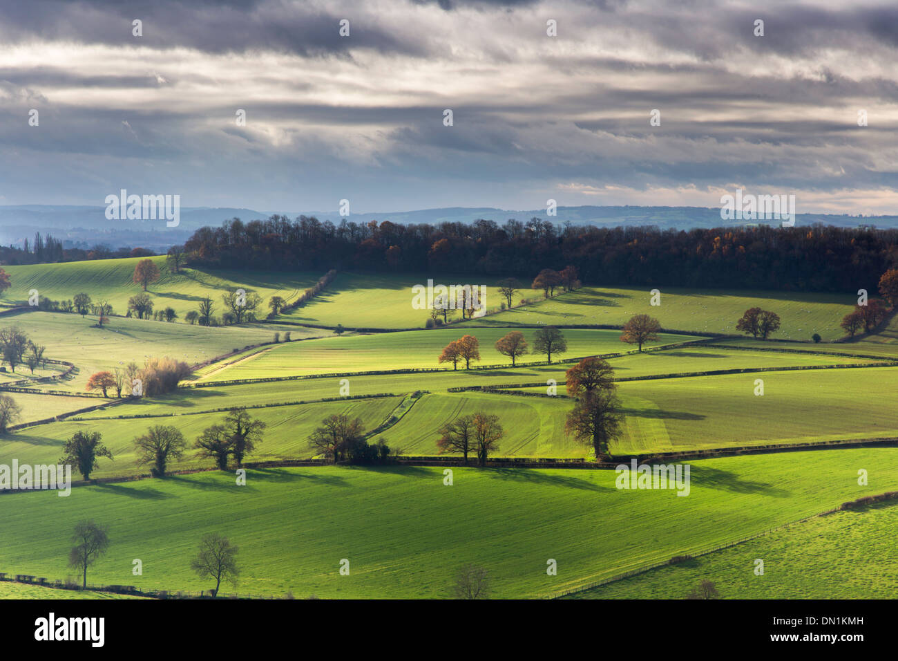 Afternoon light over Herefordshire countryside from the Marcle Ridge ...