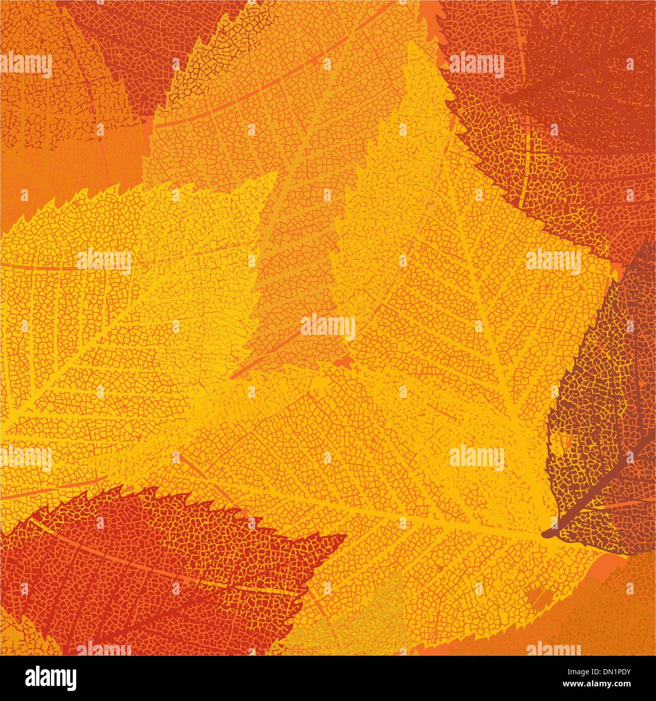 Dry autumn leaves template. EPS 8 Stock Vector Image & Art - Alamy