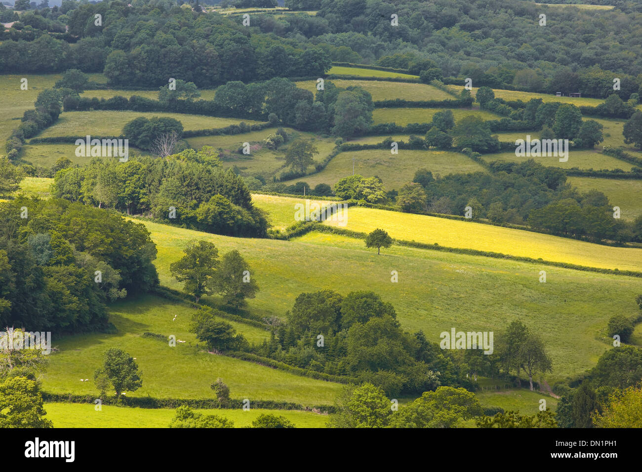 The rolling hills of the Morvan national park in Burgundy, France Stock ...