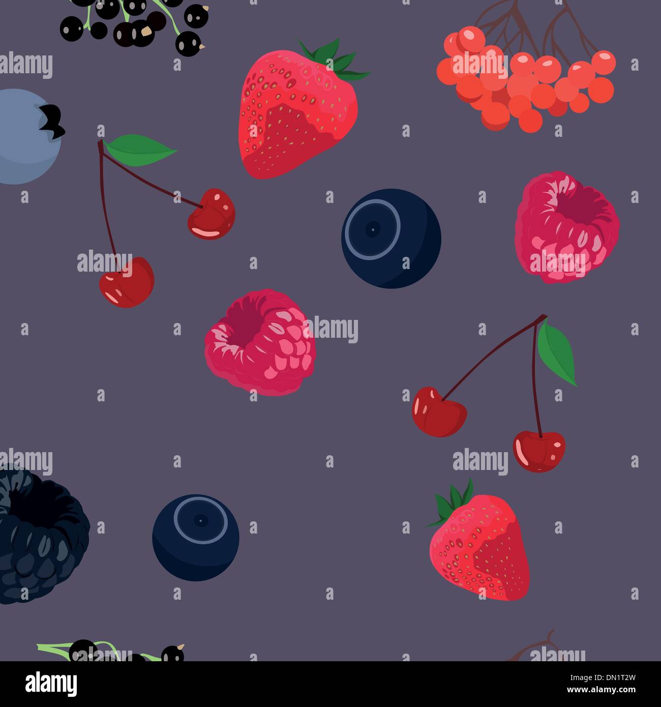 Raspberry black currant berries Stock Vector Images - Alamy