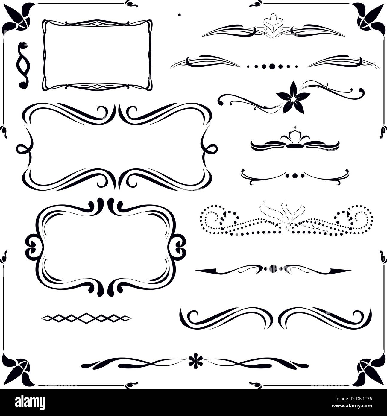 Calligraphic design elements vector vectors hi-res stock photography ...