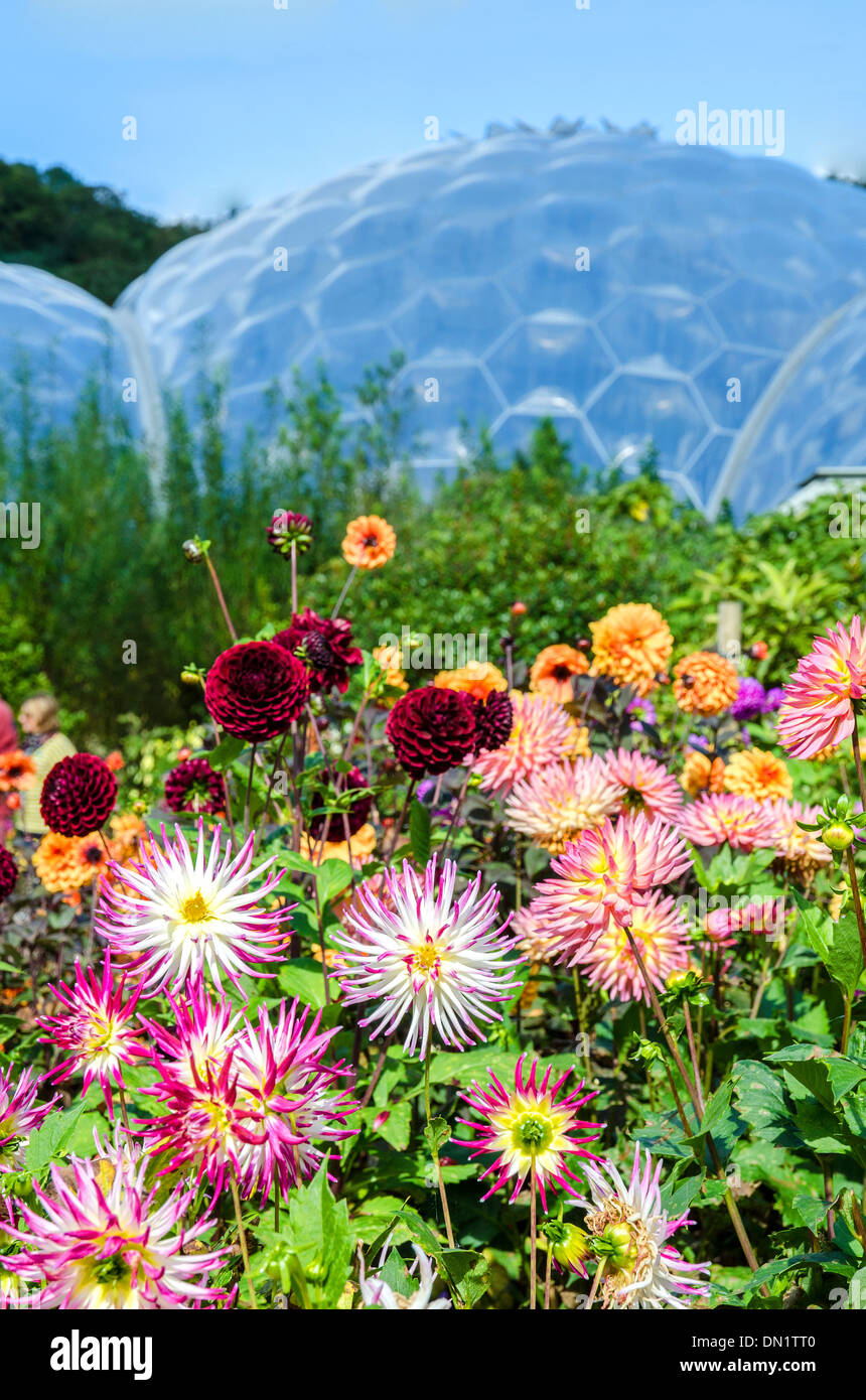 Eden project hi-res stock photography and images - Alamy