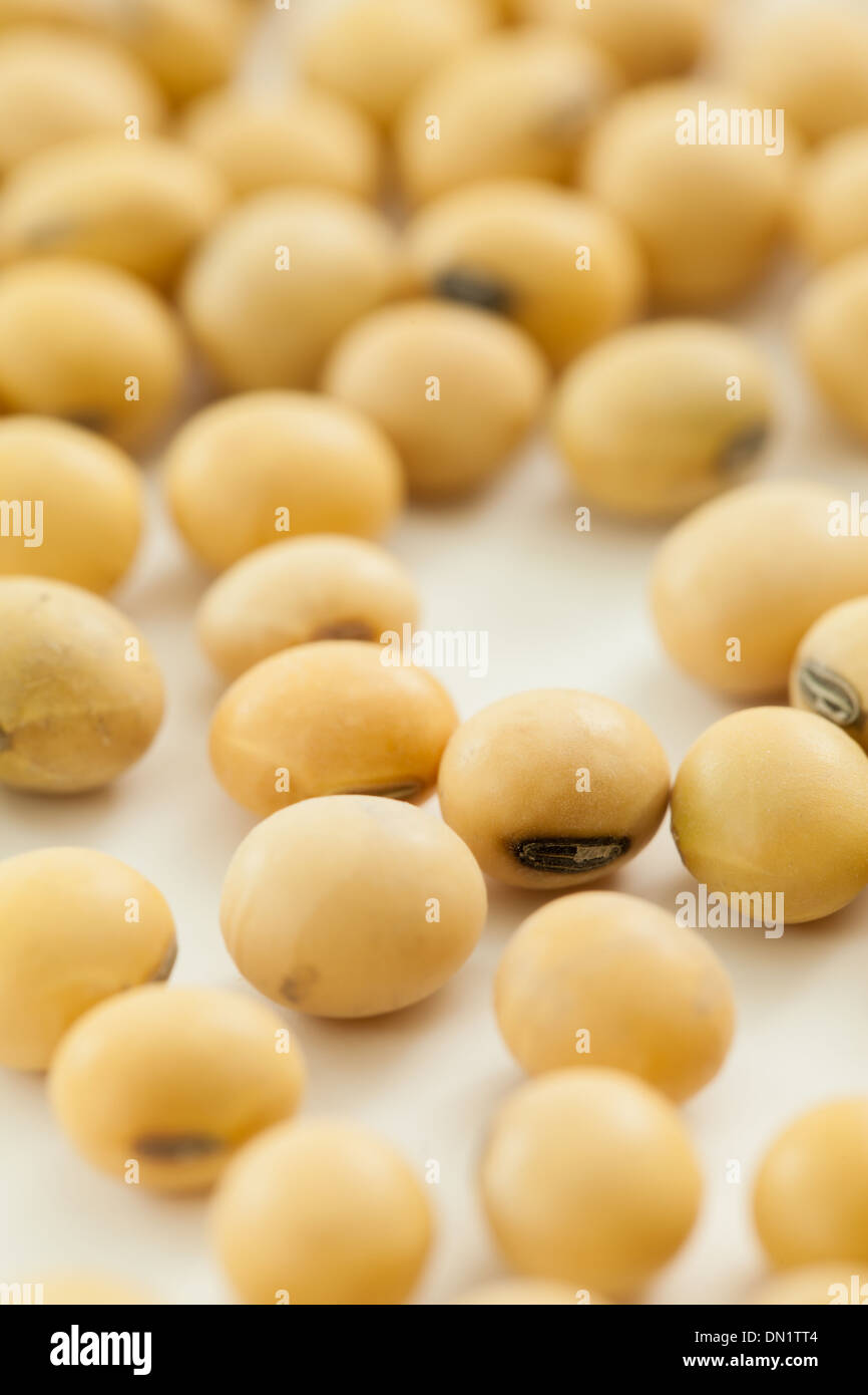 Soy beans hi-res stock photography and images - Alamy