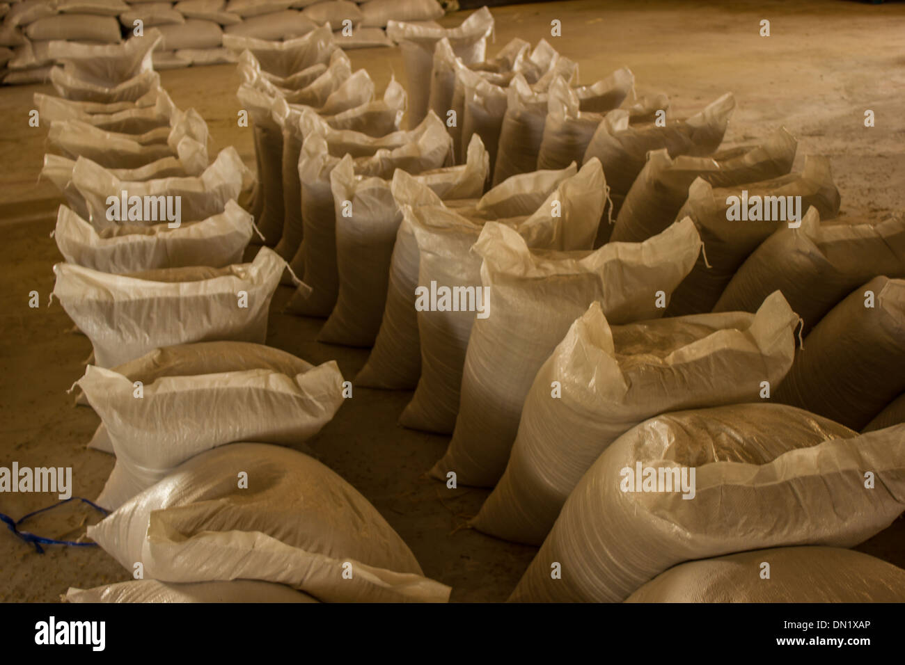 Arrangement with lots of fertilizer sacks in asia Stock Photo - Alamy
