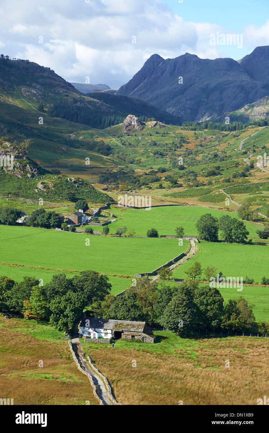 Centre frame hi-res stock photography and images - Alamy