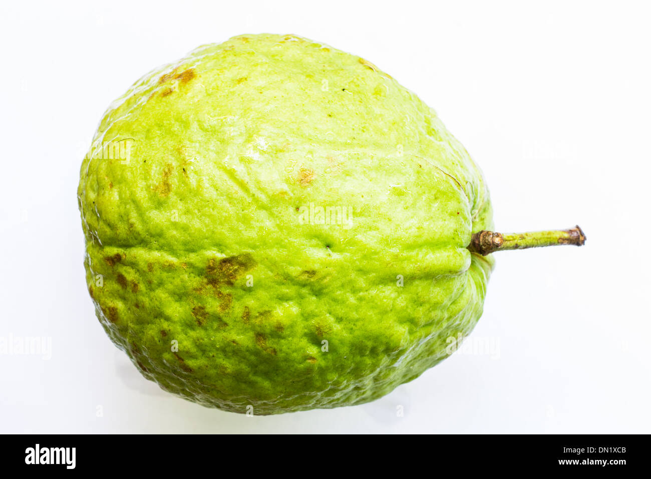 Fresh Guava Isolated Stock Photo - Alamy