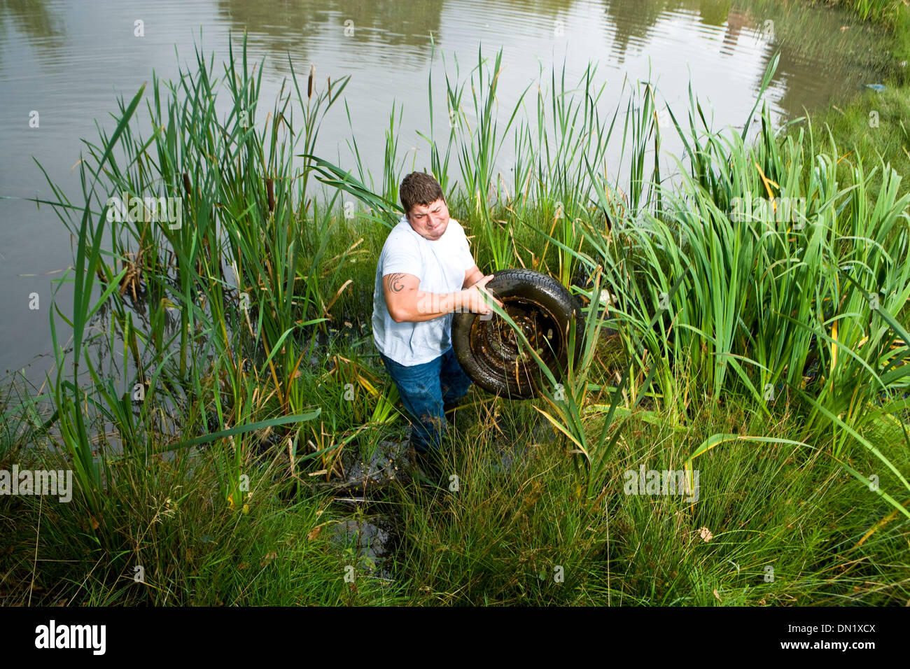 removing rubbish, a tyre from a pond Stock Photo - Alamy