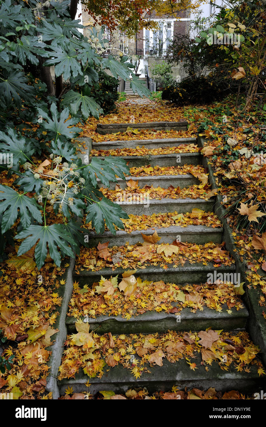 Stairs in nature Stock Photo - Alamy