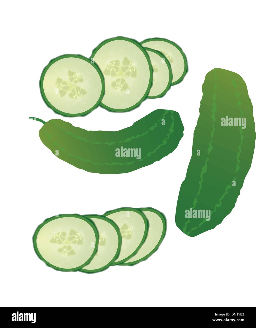 Food salad cucumber slices Stock Vector Images - Alamy