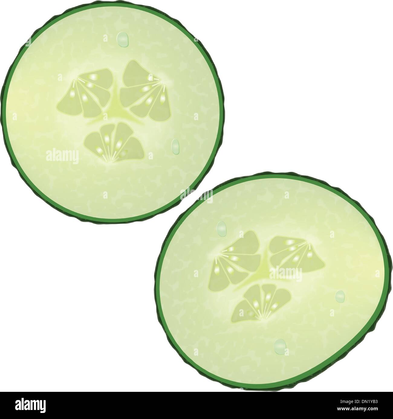 Fresh slices of cucumber Stock Vector Image & Art - Alamy