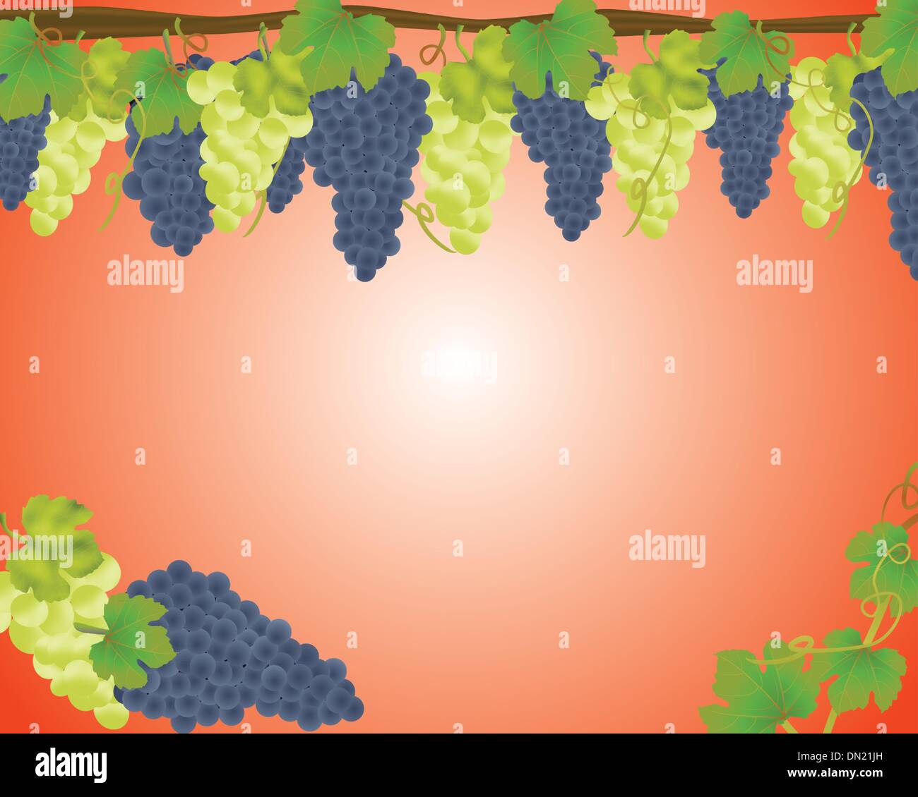 Grapes gathering Stock Vector Images - Alamy
