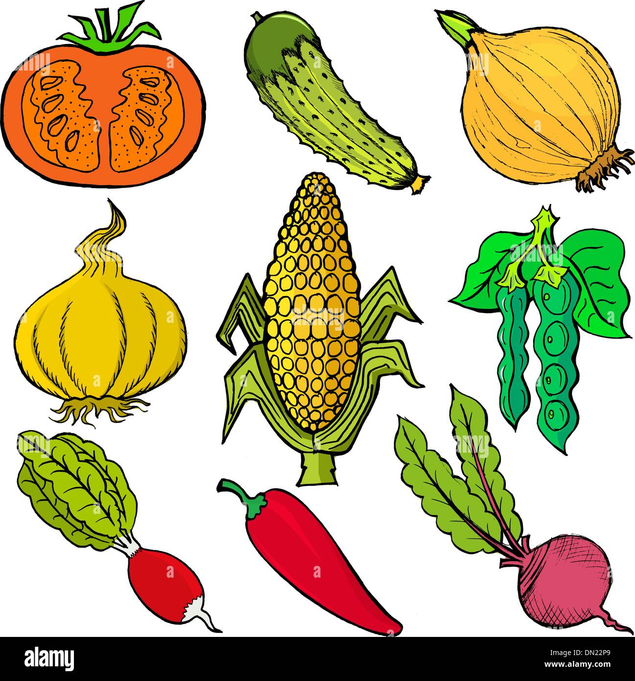 Set of vegetables Stock Vector Image & Art - Alamy