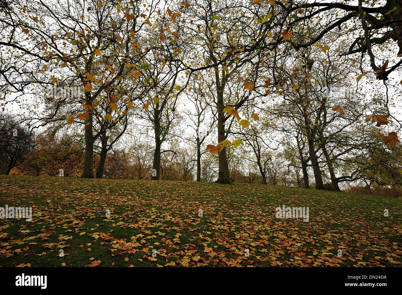 View in nature hi-res stock photography and images - Alamy