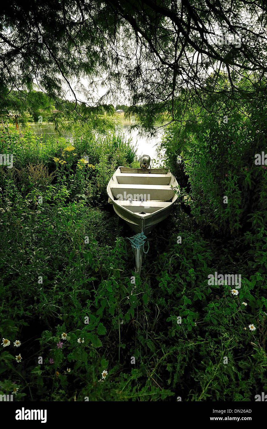 Boat in the woods Stock Photo - Alamy