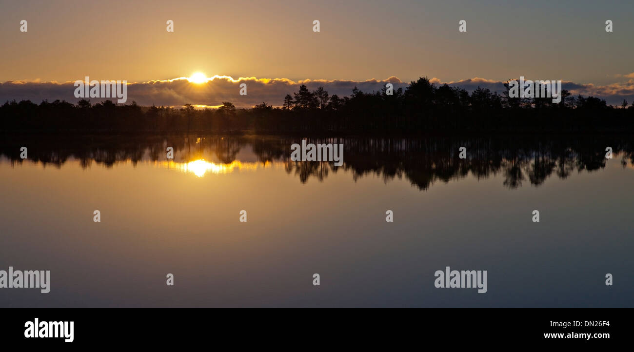 Sunrise over swamp lake Stock Photo - Alamy